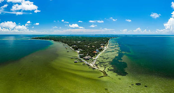 LaDonna Braidlow - Perdido Key - Levin Rinke Realty